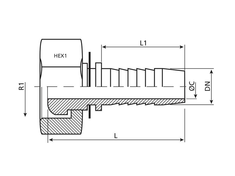 Dicsa Metric 24°/60° Hose Insert 1/4'' x M14 x 1.5 (8L) Female Thread ...