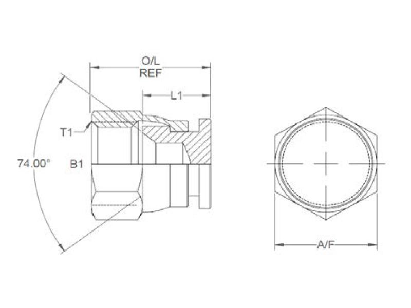 Hydraulic Adaptor 7/8'' JIC Swivel Blanking Cap
