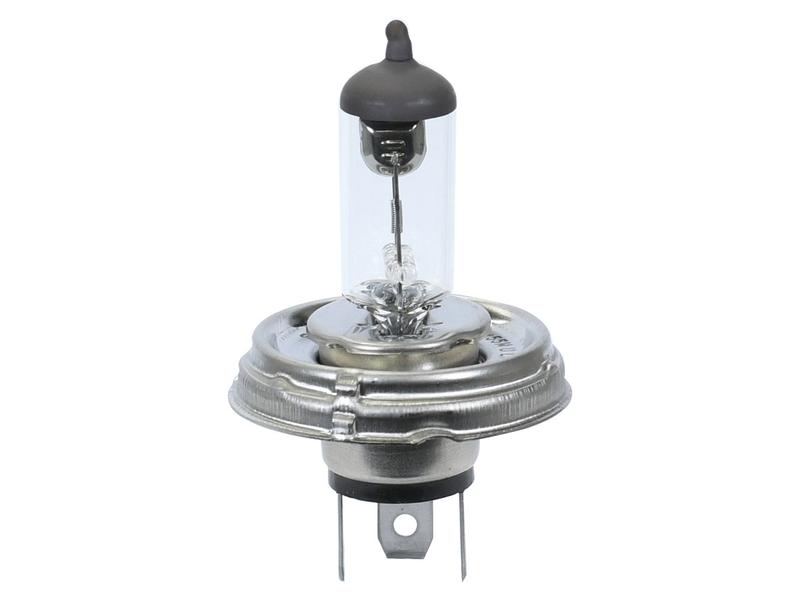 Agripak 1 pc. Bulb 12V, 60/55W, P45t