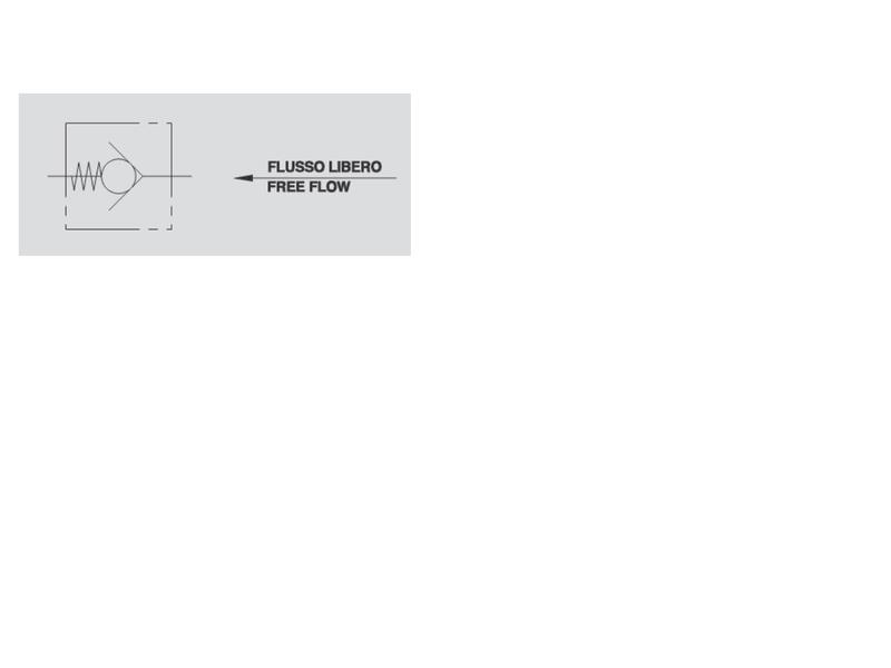 Faster In Line Check Valve 3/8'' BSP (30 L/min Flow Rate)