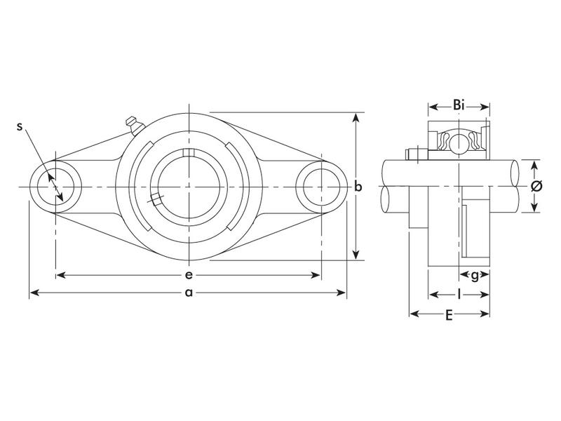 Sparex Two-Bolt Flanged Unit (UCFL204)