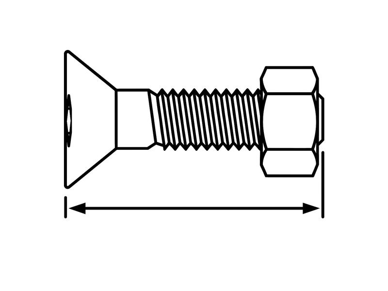 Countersunk Head Bolt 2 Nibs With Nut (TF2E) - M12 x 35mm, Tensile ...