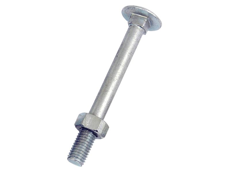 Metric Carriage Bolt and Nut, M12x220mm (DIN 601/934)