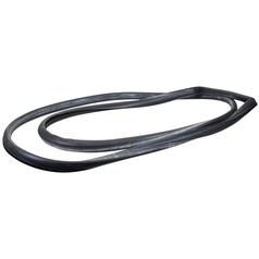 Door Glass Seal LH