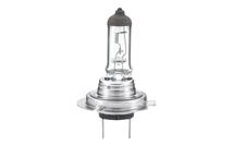 Light Bulb (Halogen) H7, 24V, 70W, PX26d (Box 1 pc.)