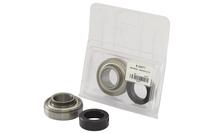 Sparex Bearing Insert (ES205) (Agripak 1 pc.)