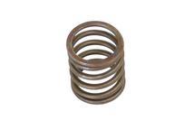 Valve Spring - Outer