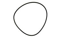 O'Ring - Cannister
