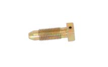 Locking Screw