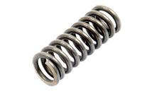 Plunger Spring