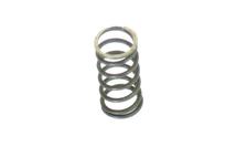 Plunger Spring