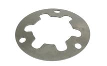 Belleville Spring Plate