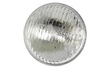 Head Lamp